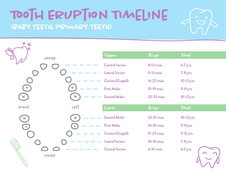 Child Dentistry Spring Lake NC | Pediatric Dentist | Kid's Dentist ...